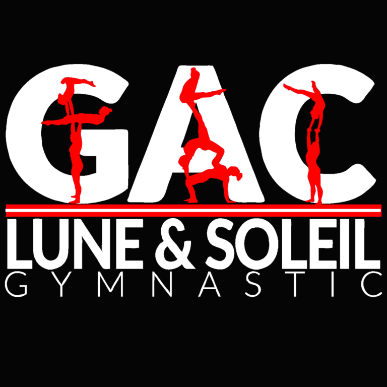 Gymnastique Acrobatique Discipline Tee-Shirt Homme – Lune & Soleil ...